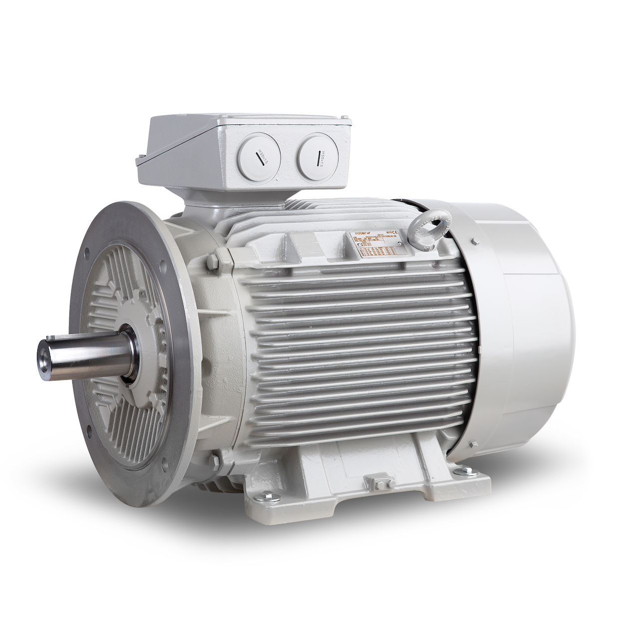 6RN200L02E26U46B@2021 | Rotor